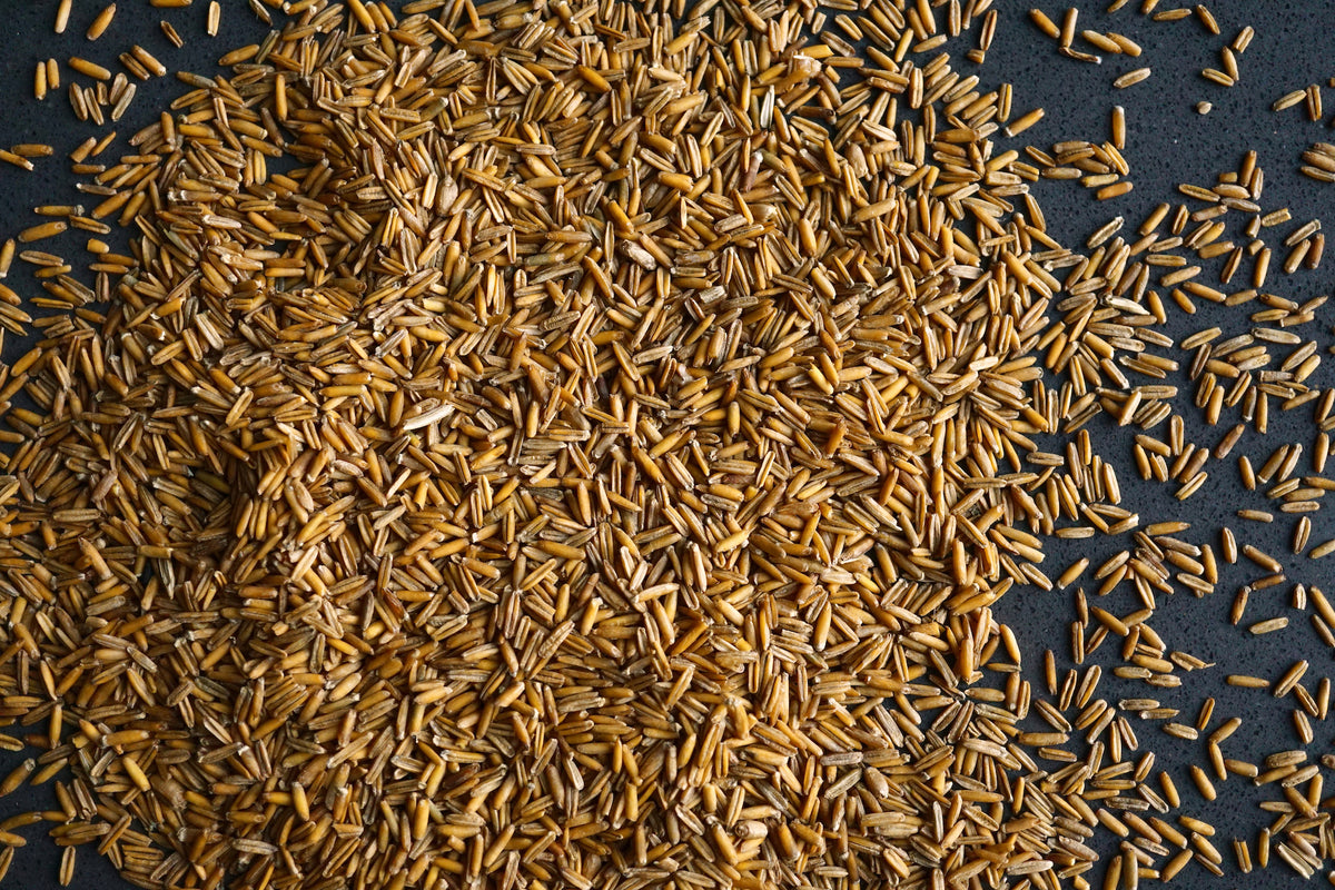 Getting Started With Kernza | Perennial Pantry