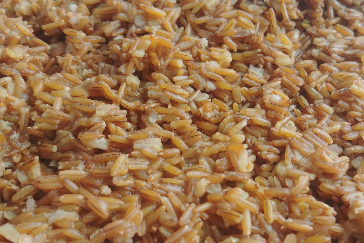 How to Par-Cook Kernza® | Perennial Pantry