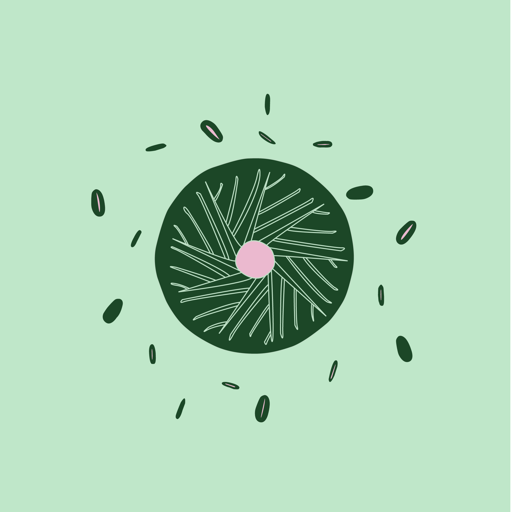 Flour and Baking – Perennial Pantry