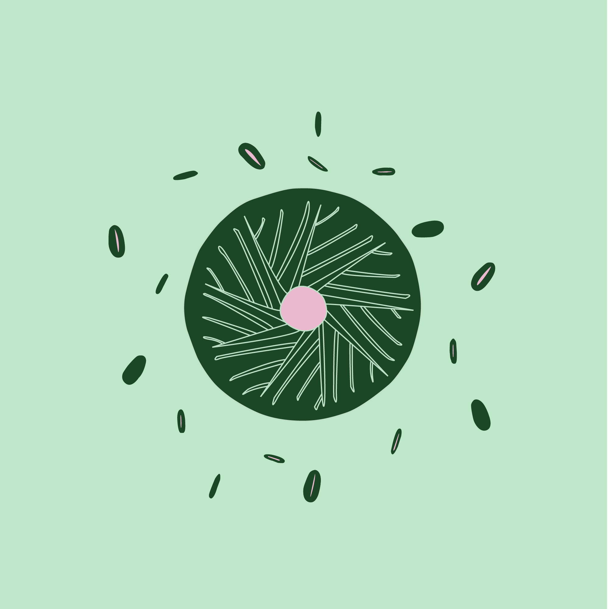 Perennial Pantry