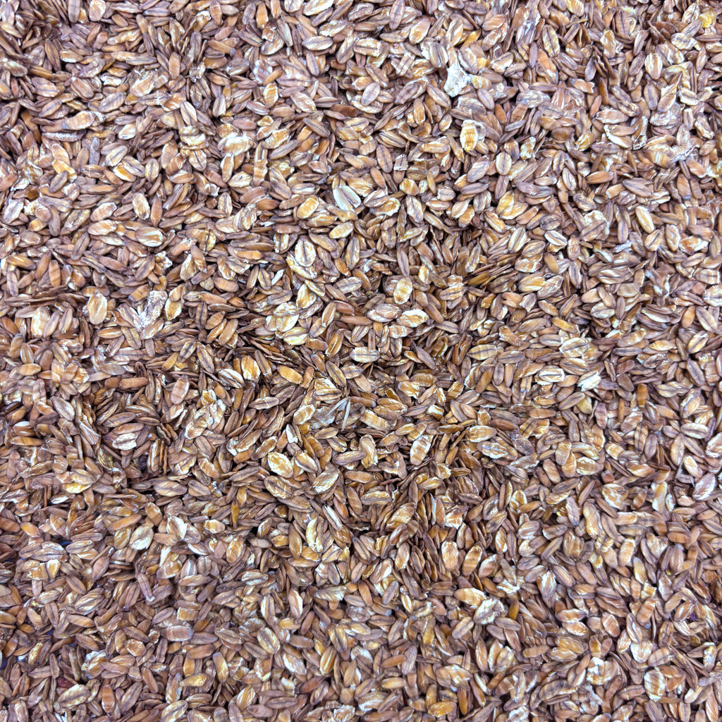 10 Lbs Flaked Kernza ($5.50/lb) – Perennial Pantry