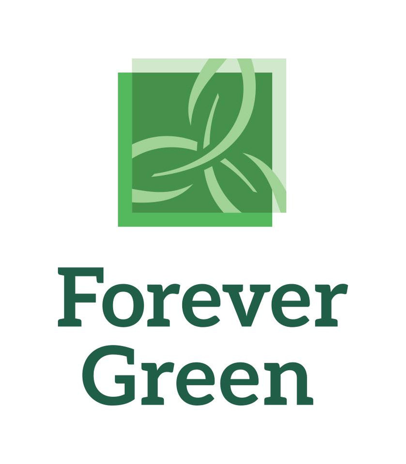 Perennial Pantry | Perennial Pantry